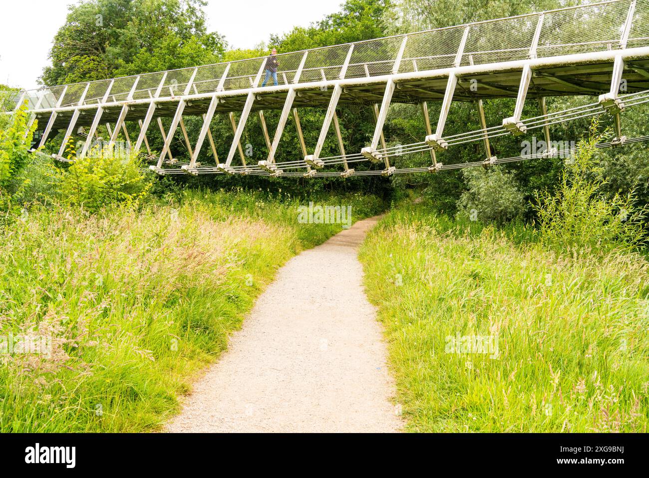 The Living Bridge, University of Limerick Campus Stock Photo - Alamy