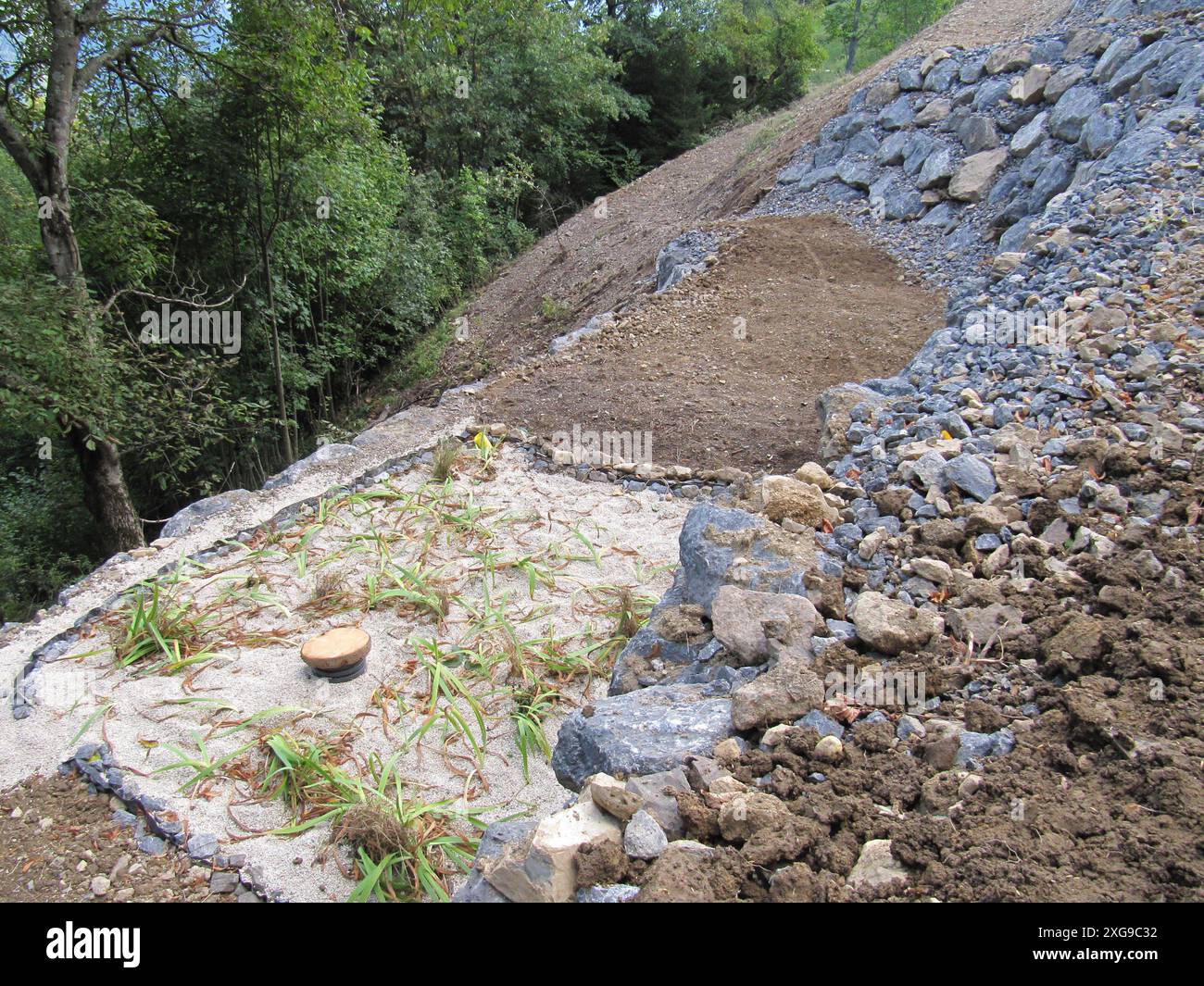 renaturation or ecological restoration by architecture in damaged or ...