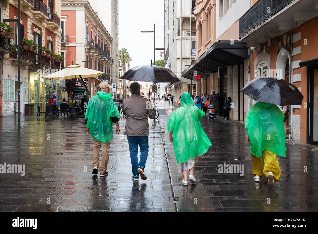 A group of four people with umbrellas and green rain capes in the rain ...