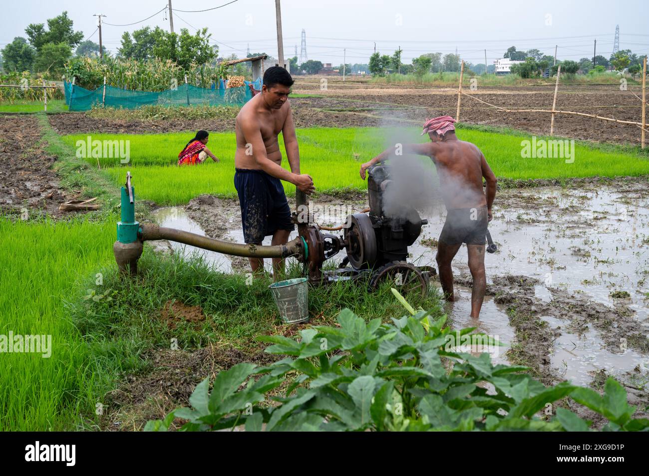 Farmers seen trying to start the diesel water pump to prepare the paddy ...