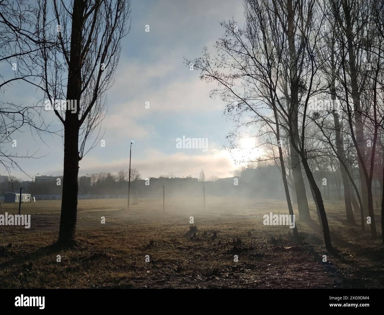 Fog Between Trees. The fog rises from the ground upwards. Morning after ...