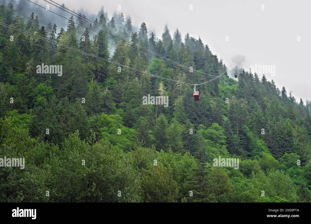 Cable cars approach each other on a fog-enshrouded Mount Roberts in ...