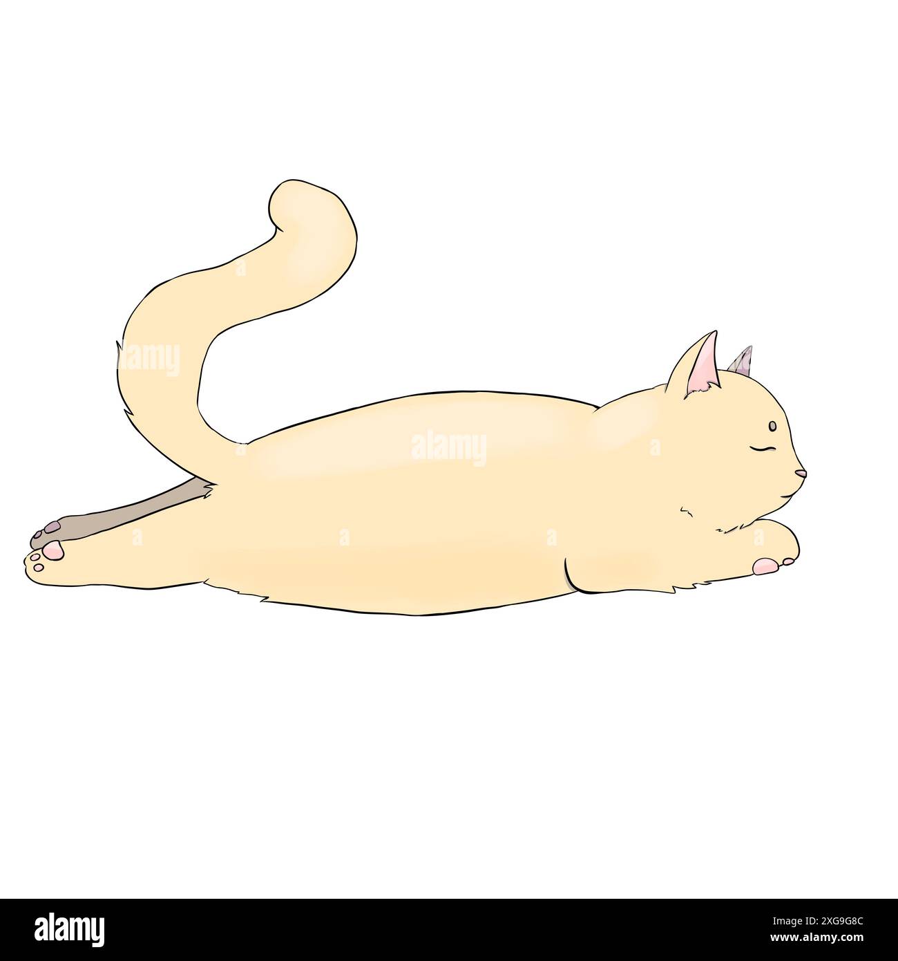 Beige cat sleeps on its belly, simple illustration Stock Photo - Alamy