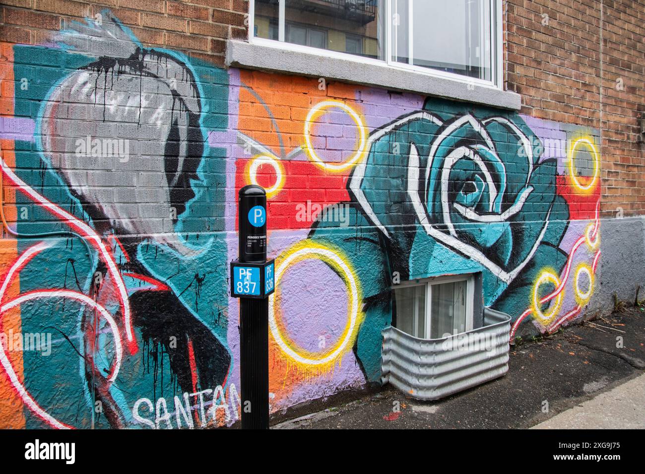 Girl and rose mural on City Hall Avenue in downtown Montreal, Quebec ...