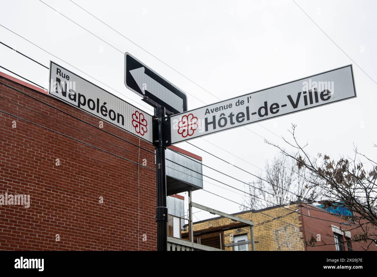 Napoleon Street and City Hall Avenue signs in downtown Montreal, Quebec ...