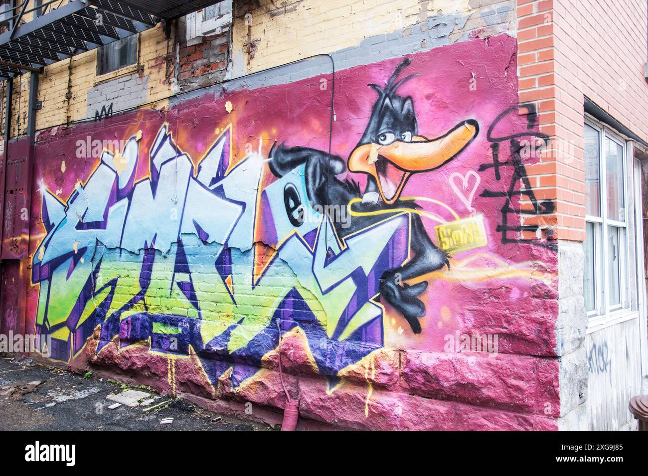 Cartoon duck character hi-res stock photography and images - Alamy