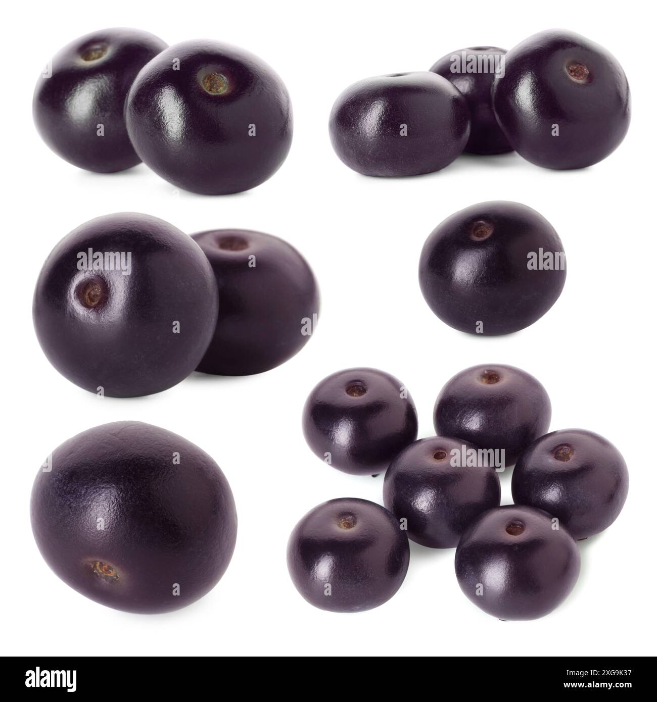 Set of acai berries isolated on white Stock Photo - Alamy