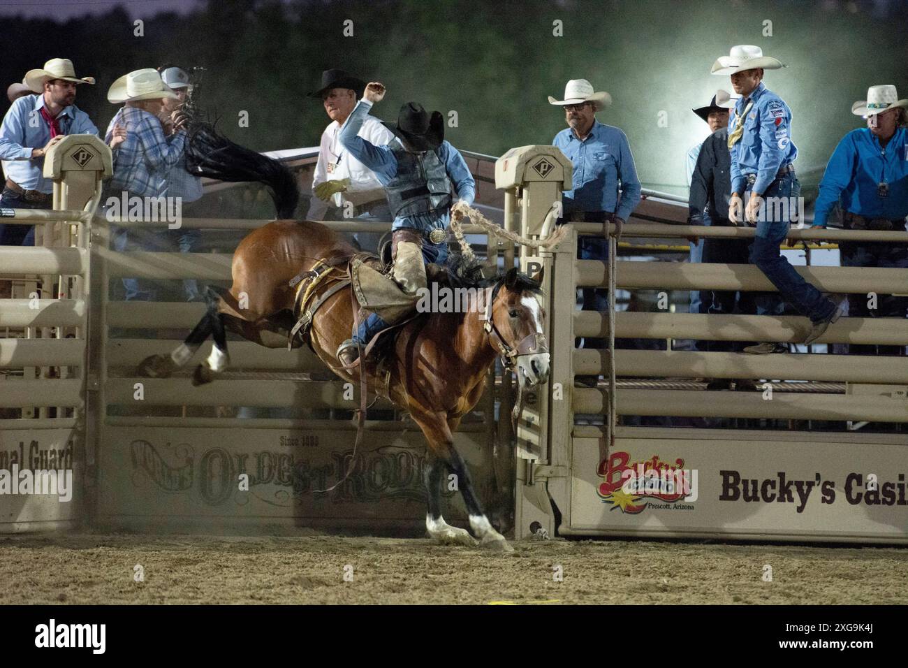 Prescott, Arizona, USA. 6th July, 2024. A rodeo contestant competes in ...