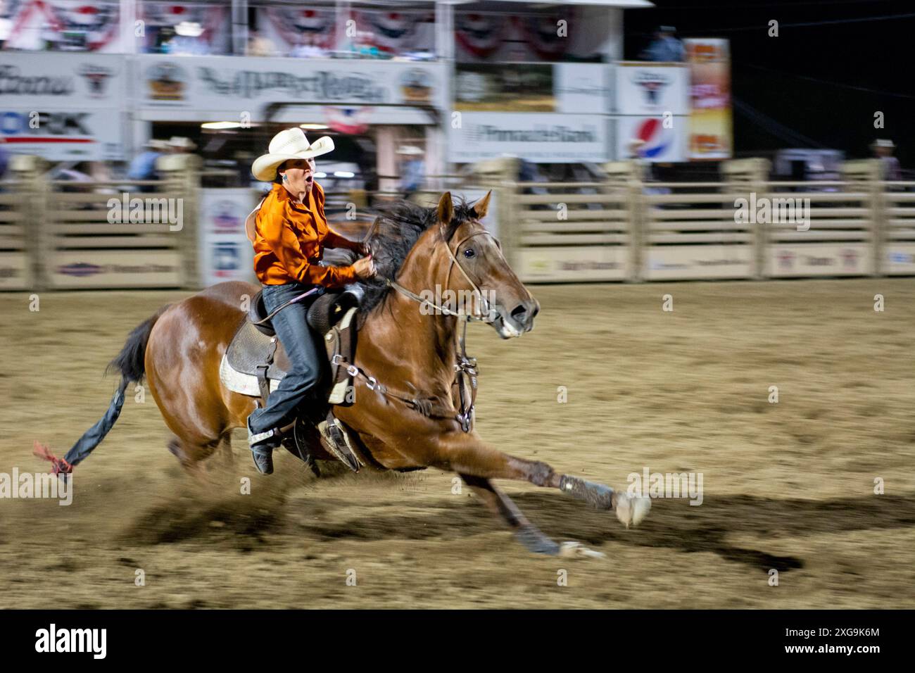Prescott, Arizona, USA. 6th July, 2024. Rodeo contestant, Jordan ...