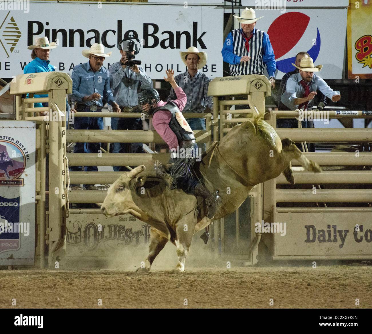 Prescott, Arizona, USA. 6th July, 2024. Rodeo contestant, Colt Robinson ...