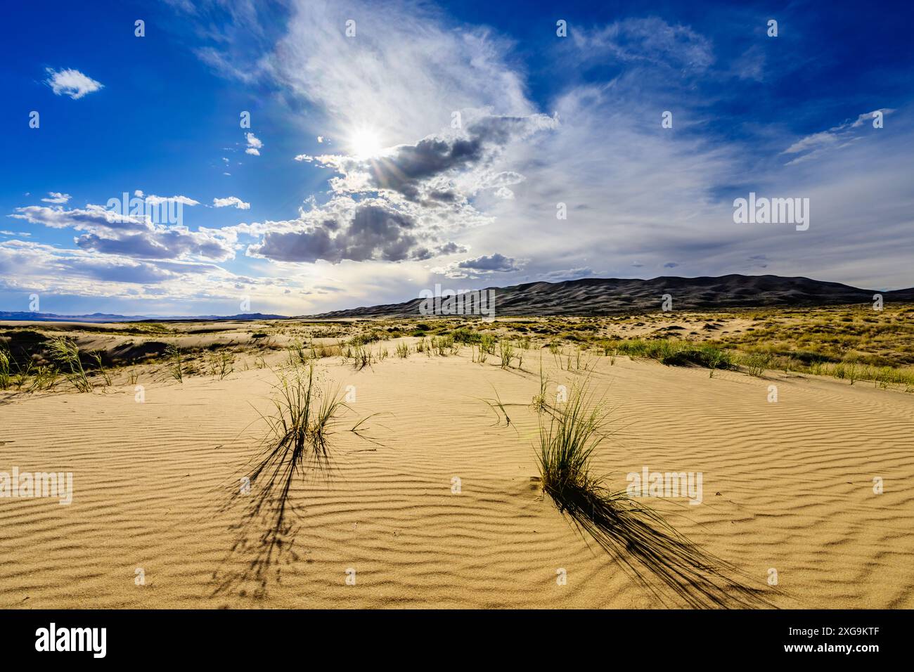 Kelso Dunes, also known as the Kelso Dune Field, is the largest field ...