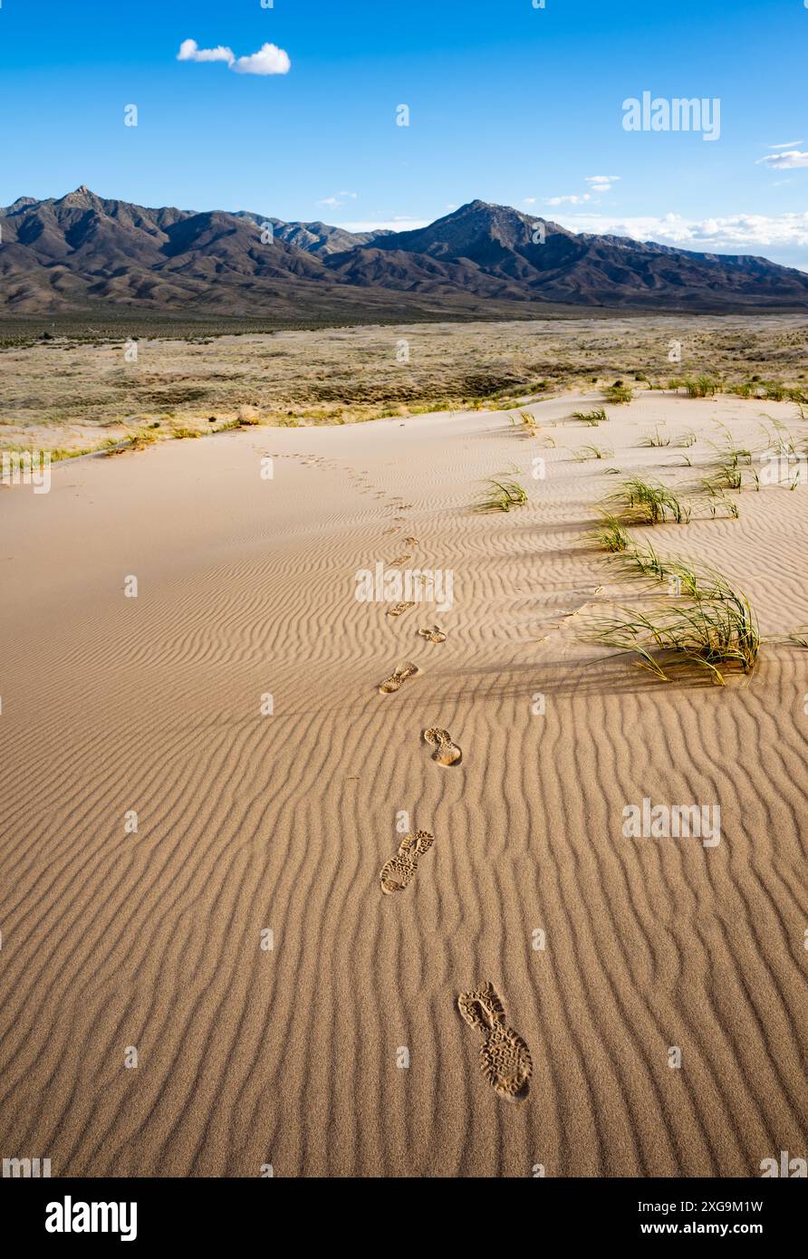 Kelso Dunes, also known as the Kelso Dune Field, is the largest field ...