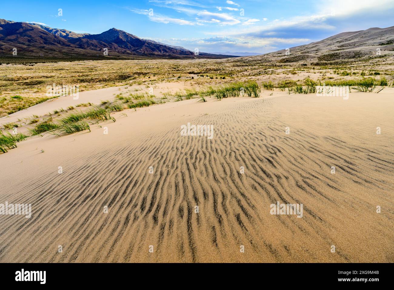 Kelso Dunes, also known as the Kelso Dune Field, is the largest field ...