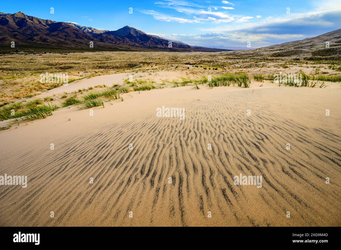 Kelso Dunes, also known as the Kelso Dune Field, is the largest field ...
