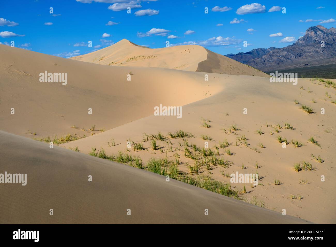 Kelso Dunes, also known as the Kelso Dune Field, is the largest field ...