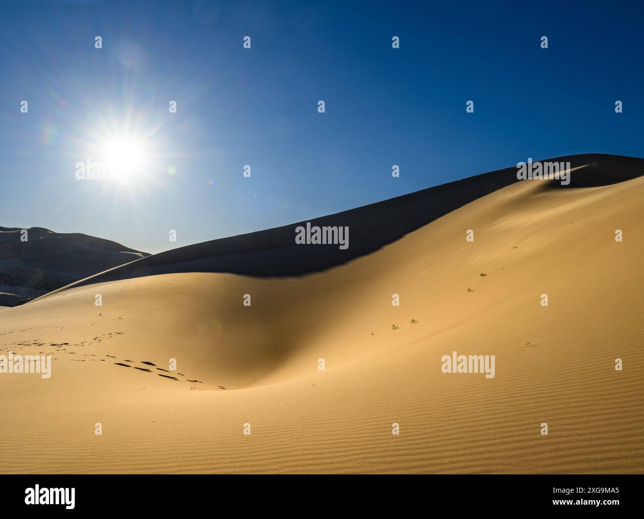 Kelso Dunes, also known as the Kelso Dune Field, is the largest field ...