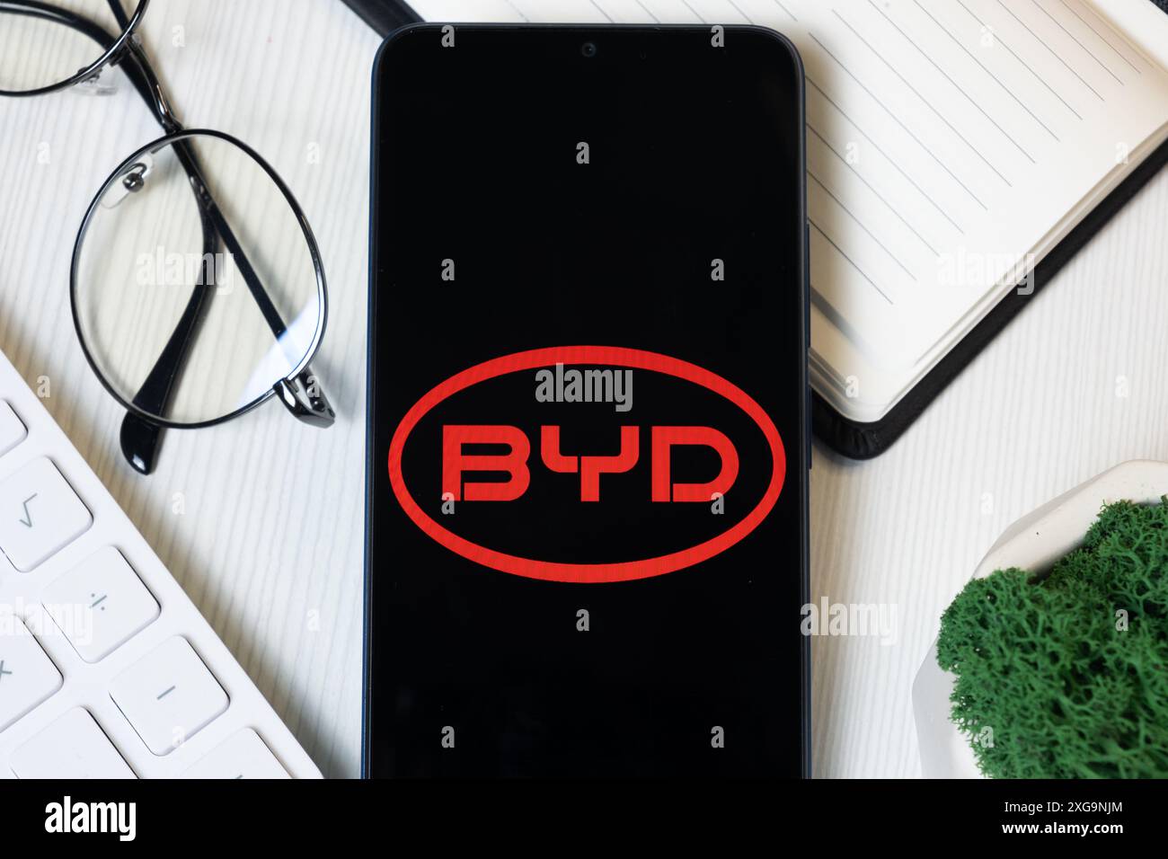 New York, USA - 1 June 2024: BYD Logo on Phone Screen, Company Icon ...