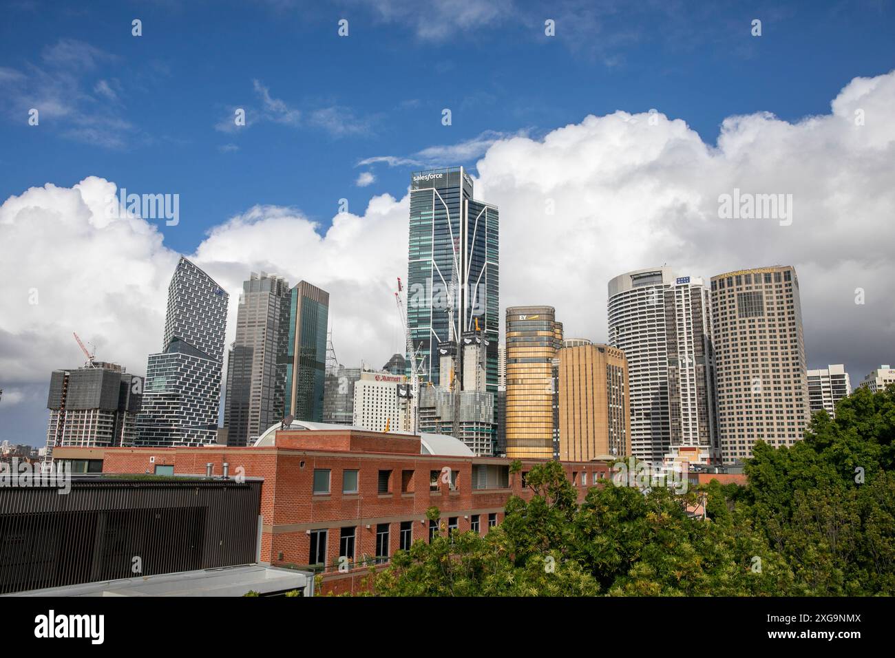 Sydney city centre skyline and cityscape with Salesforce tower the ...