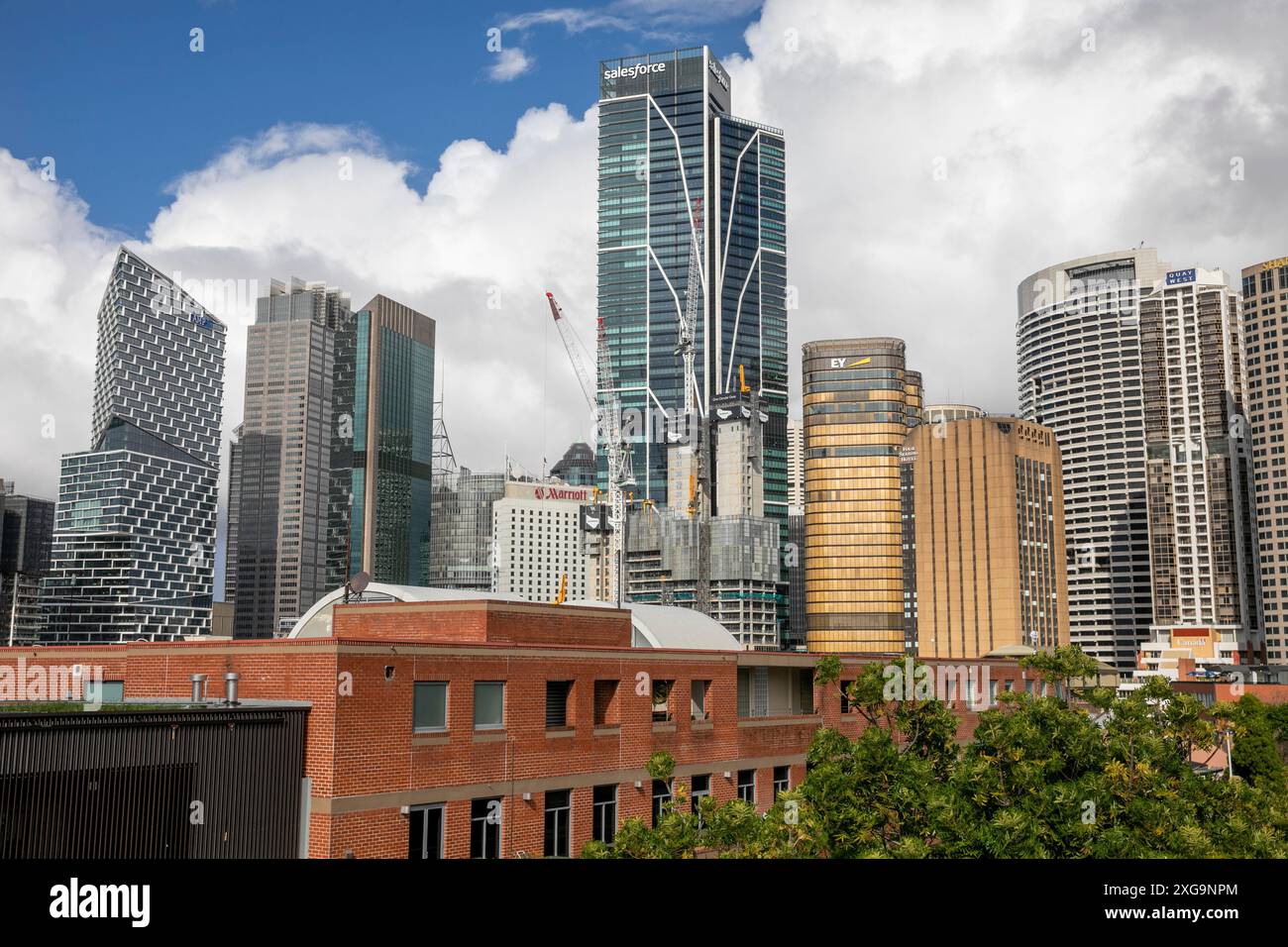 Sydney city centre skyline and cityscape with Salesforce tower the ...