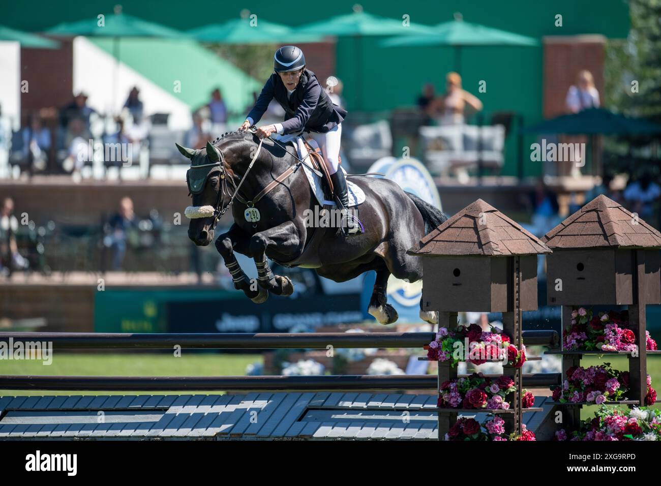 Avianna hi-res stock photography and images - Alamy