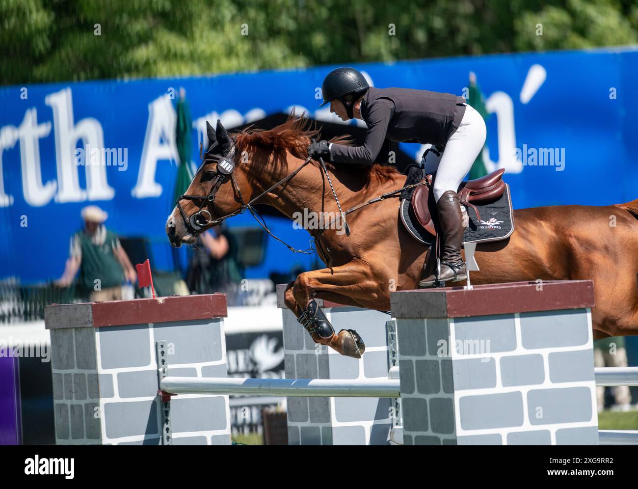 Calgary, Alberta, Canada, 7 July 2024. Ellicia Edgar (CAN riding ...