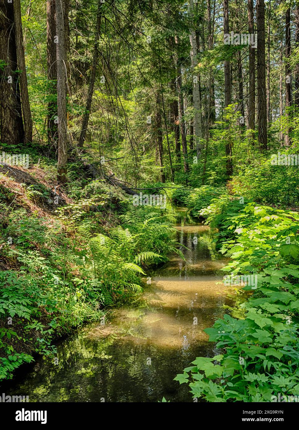 Muddy ditch hi-res stock photography and images - Alamy