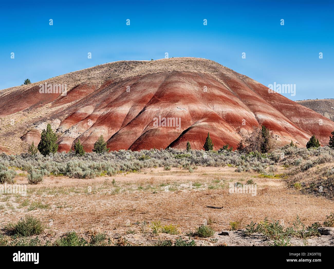 Colorful mineral layers cover many of the mounds of the Painted Hills ...