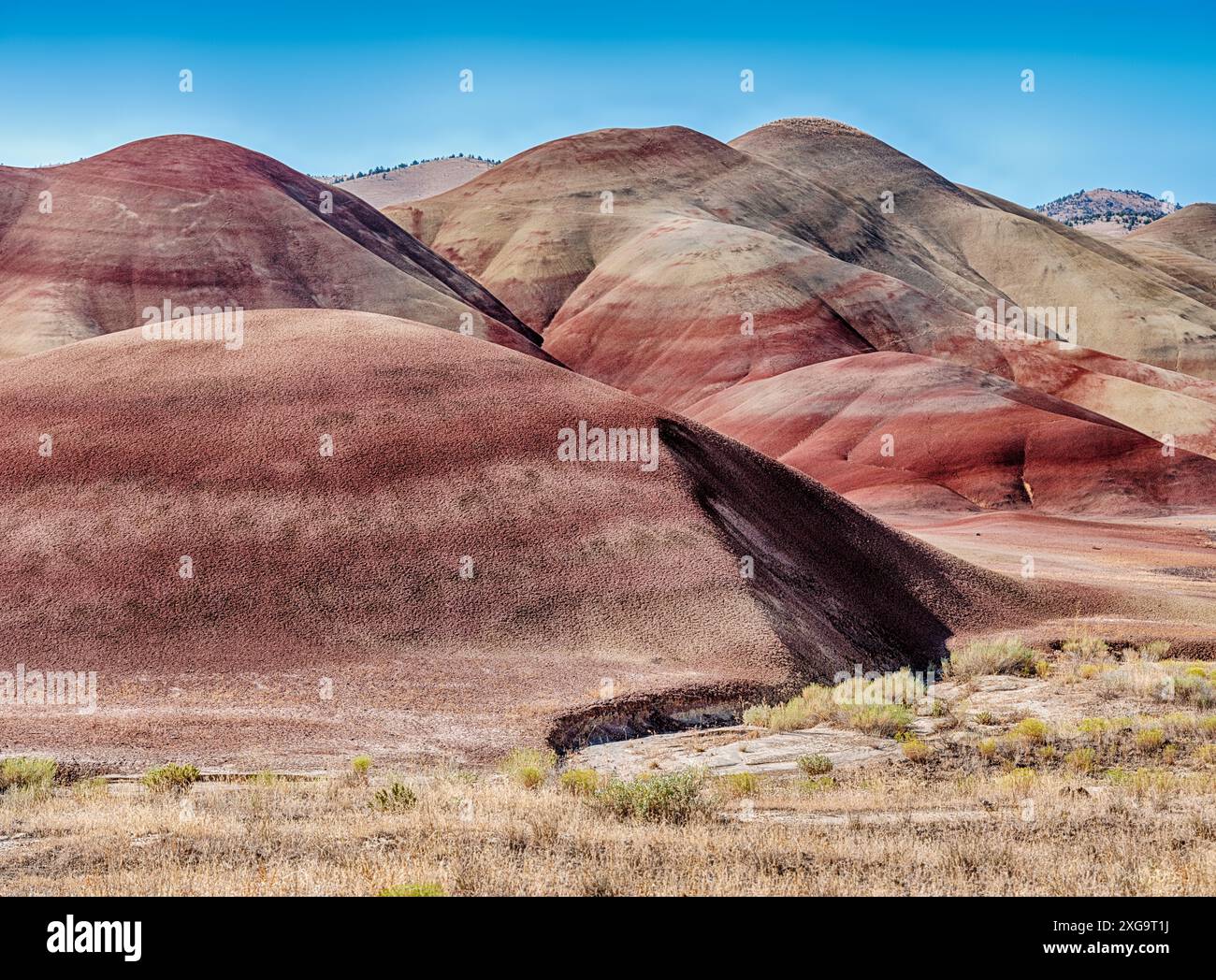 Red minerals line the mounds and hills of the Painted Hills Unit of the ...