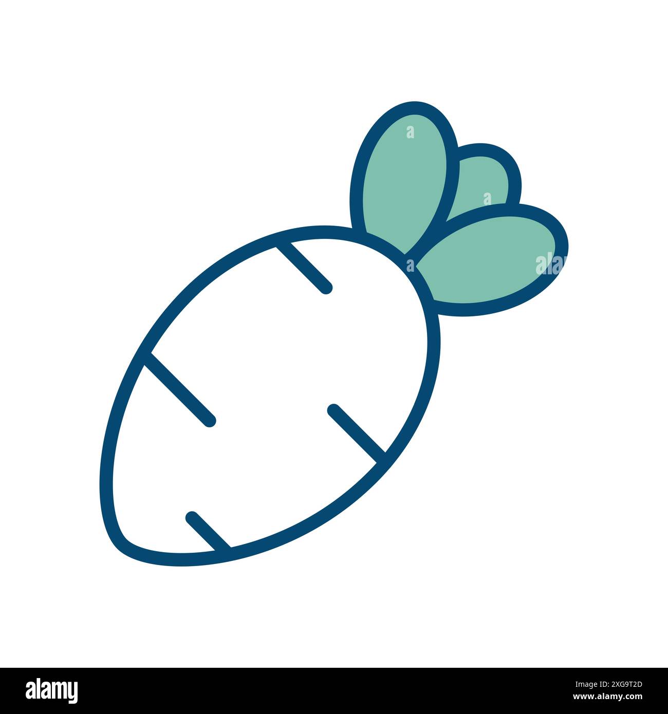 Vector outline radish vegetable food Cut Out Stock Images & Pictures ...