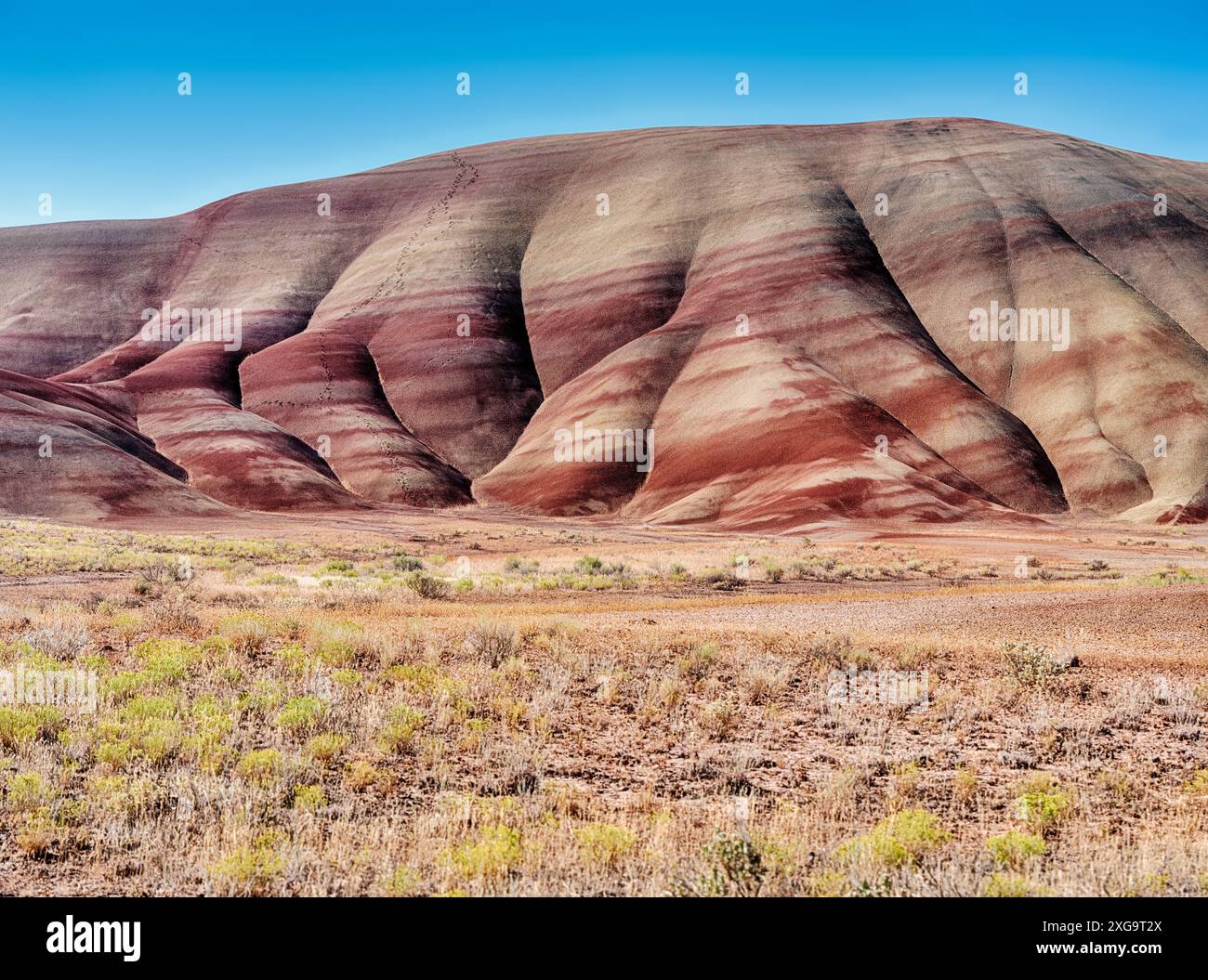 One of the long hills in the Painted HIils Unit of the John Day ...