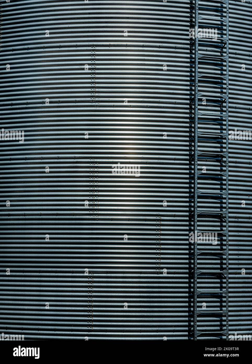 A steel ladder climbs the outside of a corrugated steel grain silo in ...