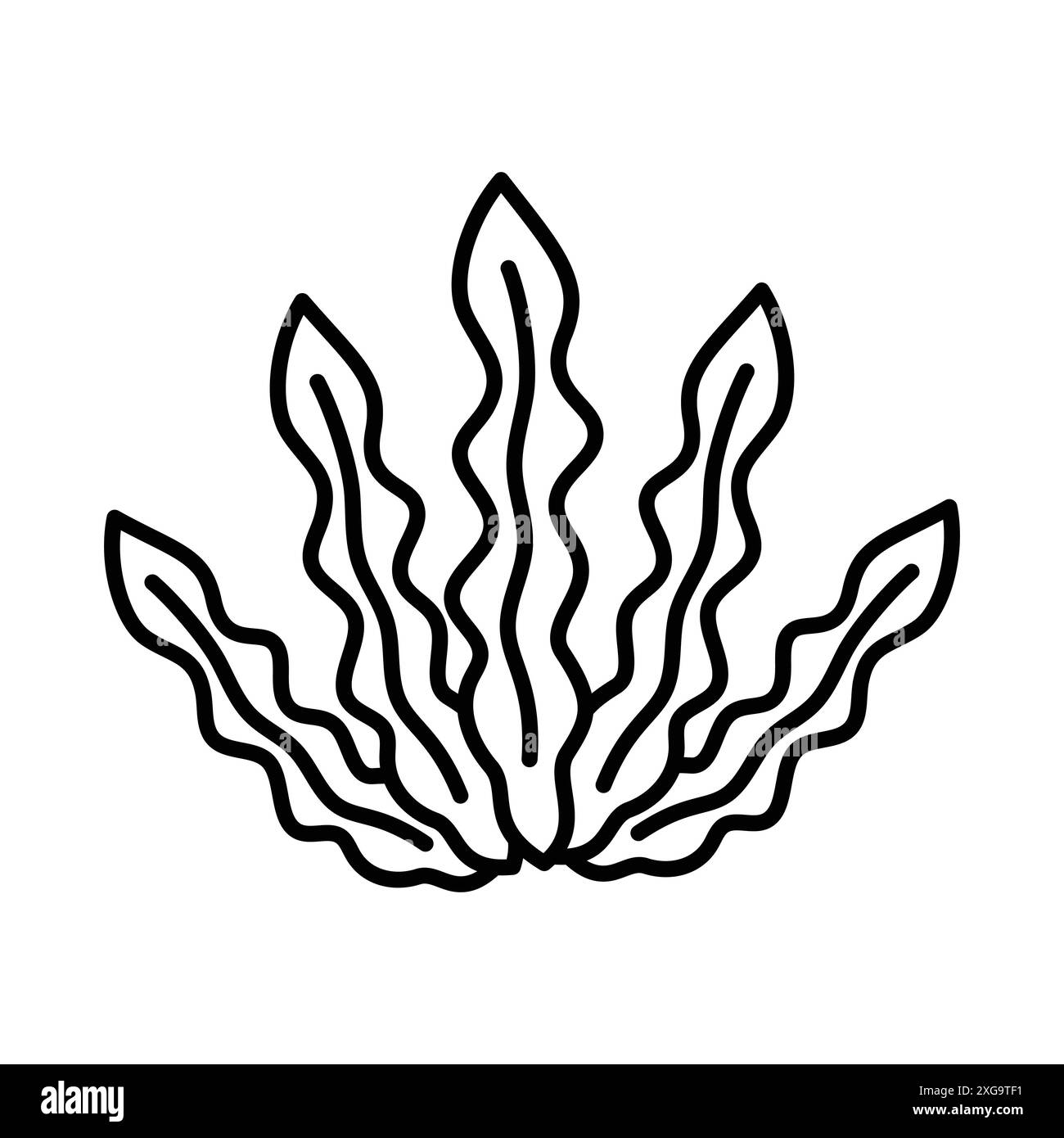 seaweed icon vector design template in white background Stock Vector ...