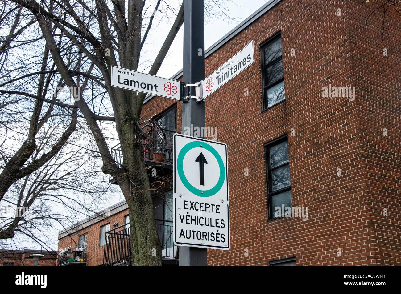 Lamont Avenue and Trinitaires Boulevard signs in Montreal, Quebec ...