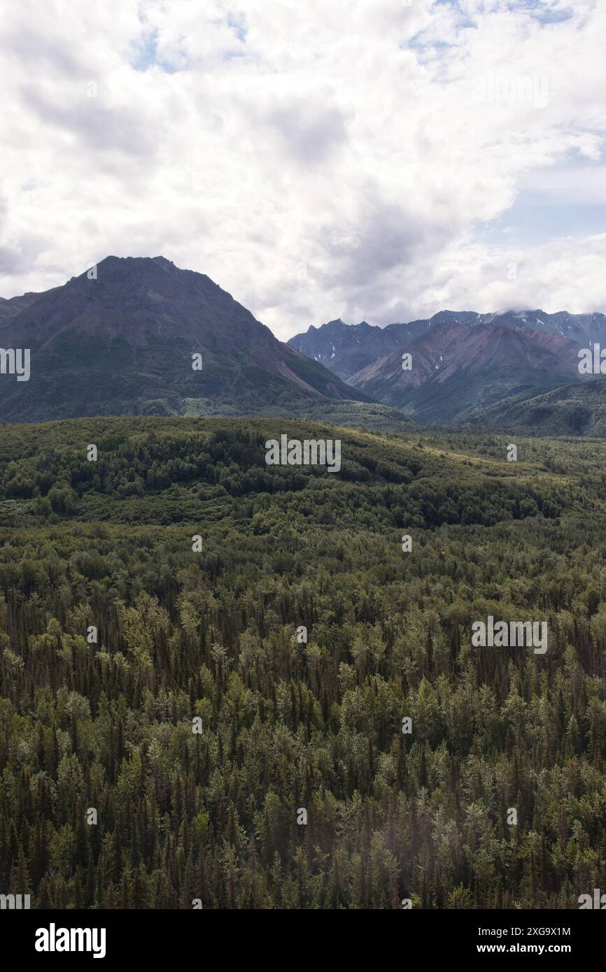 Trees and mountains on a cloudy summer day at Matanuska-Susitna Valley ...
