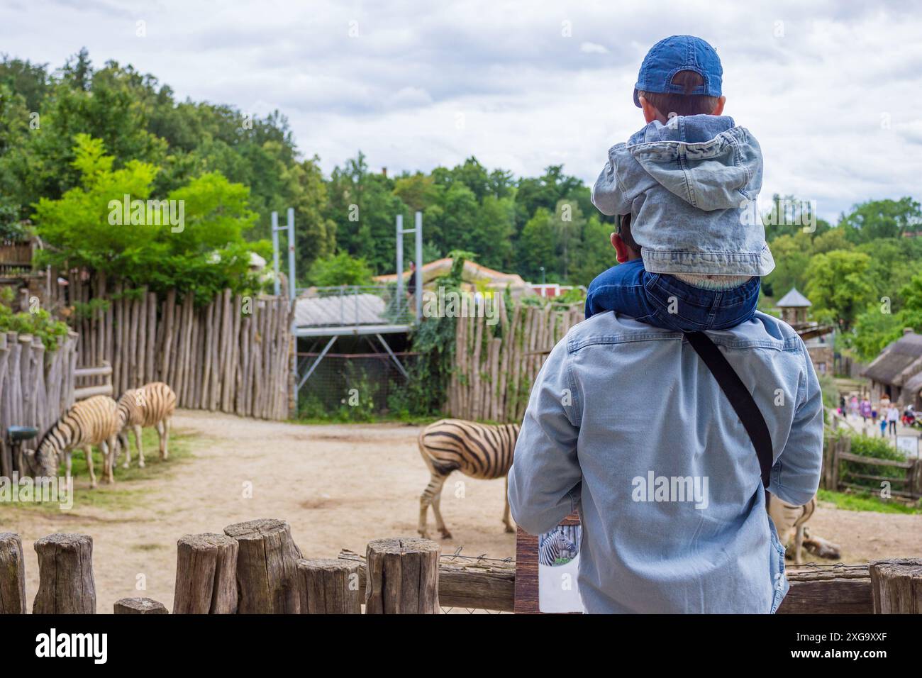 Father and son at the zoo looking at wild animals. Spending day with ...
