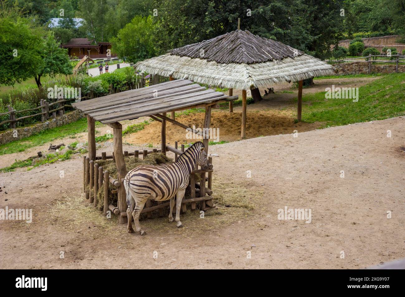 Interior of pavilions in a modern zoo with wild animals Stock Photo - Alamy