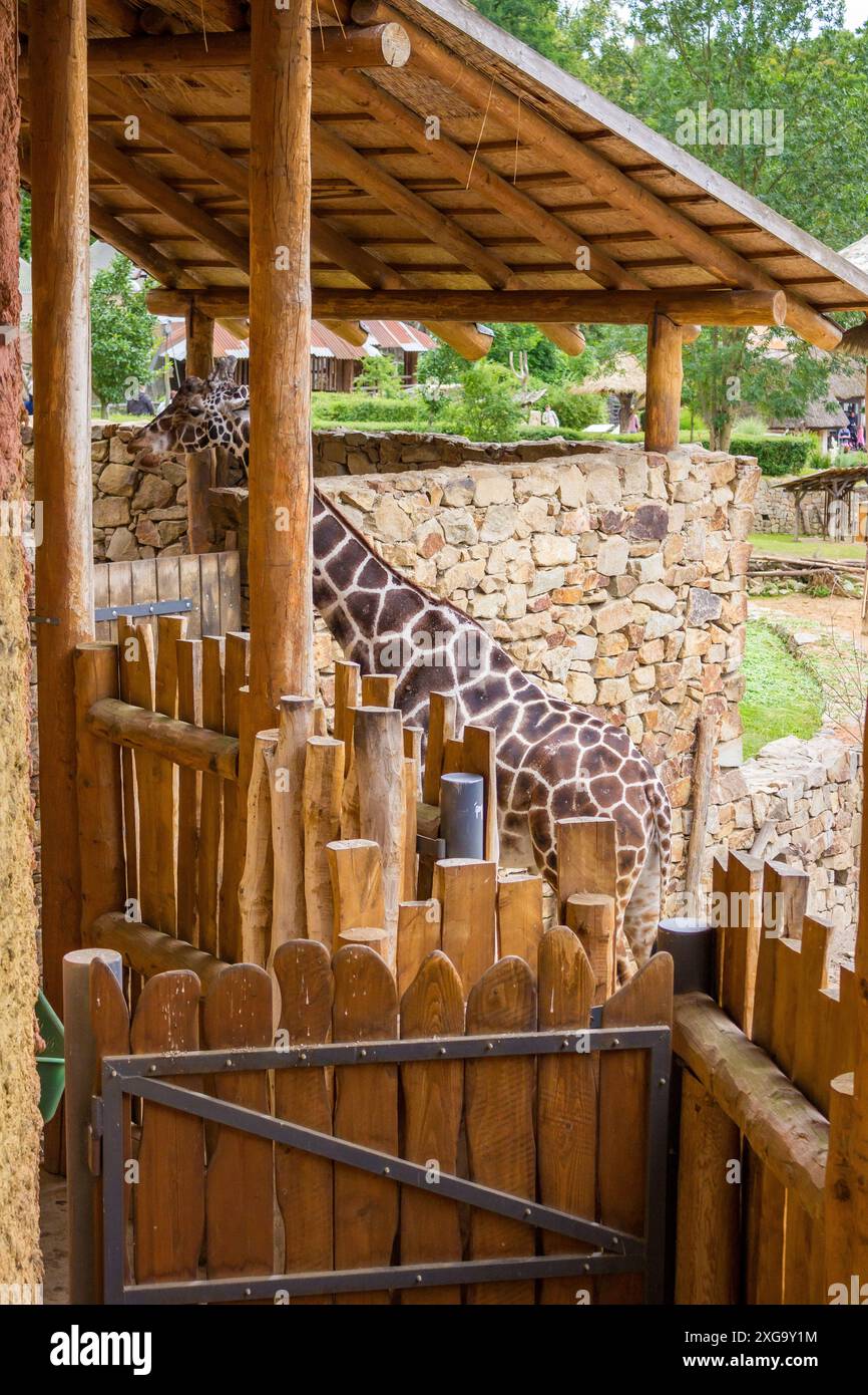 Jihlava, Czech Republic - 4 July 2024: Interior of pavilions in a ...