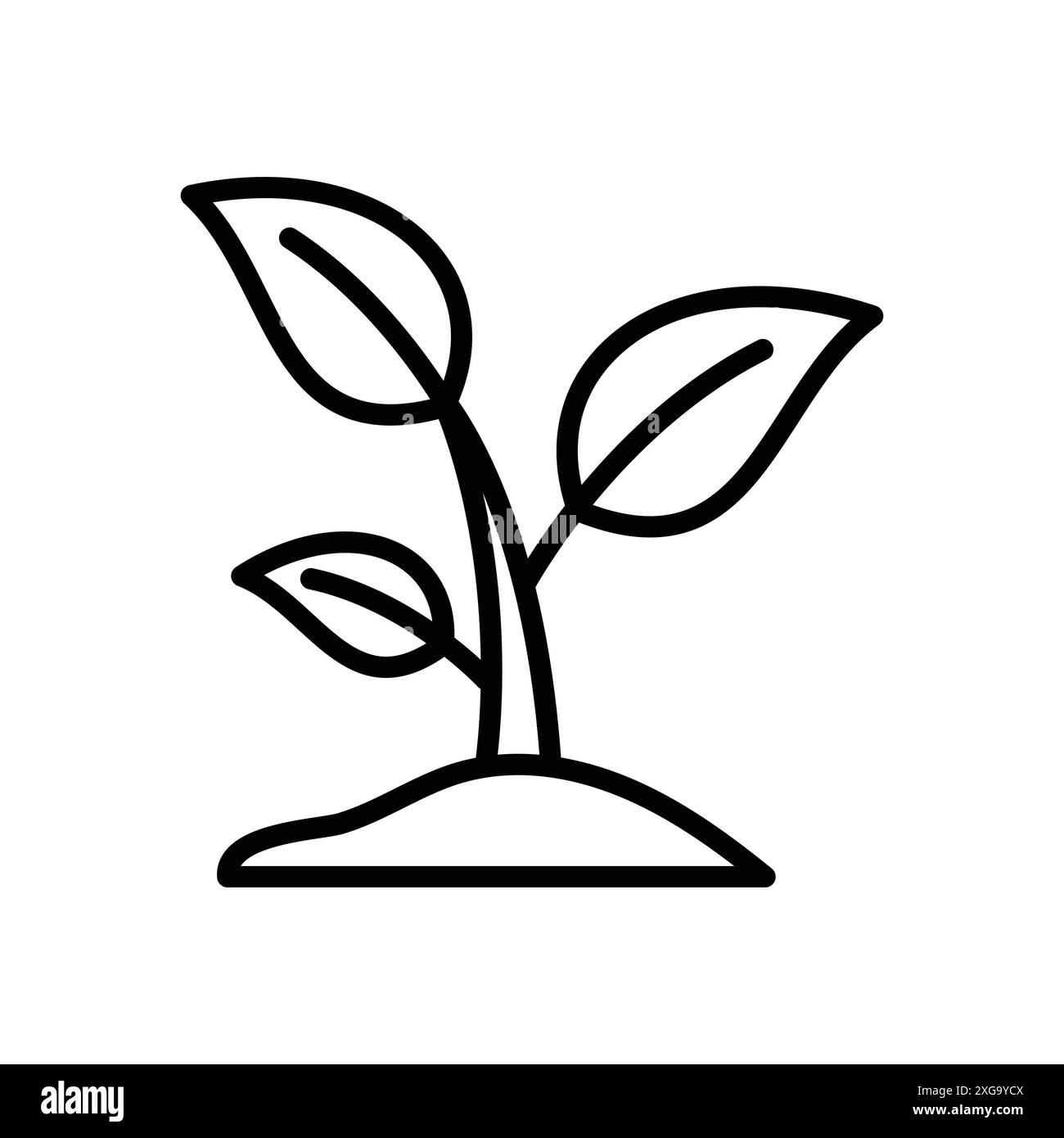 Sprout vector vectors Black and White Stock Photos & Images - Alamy