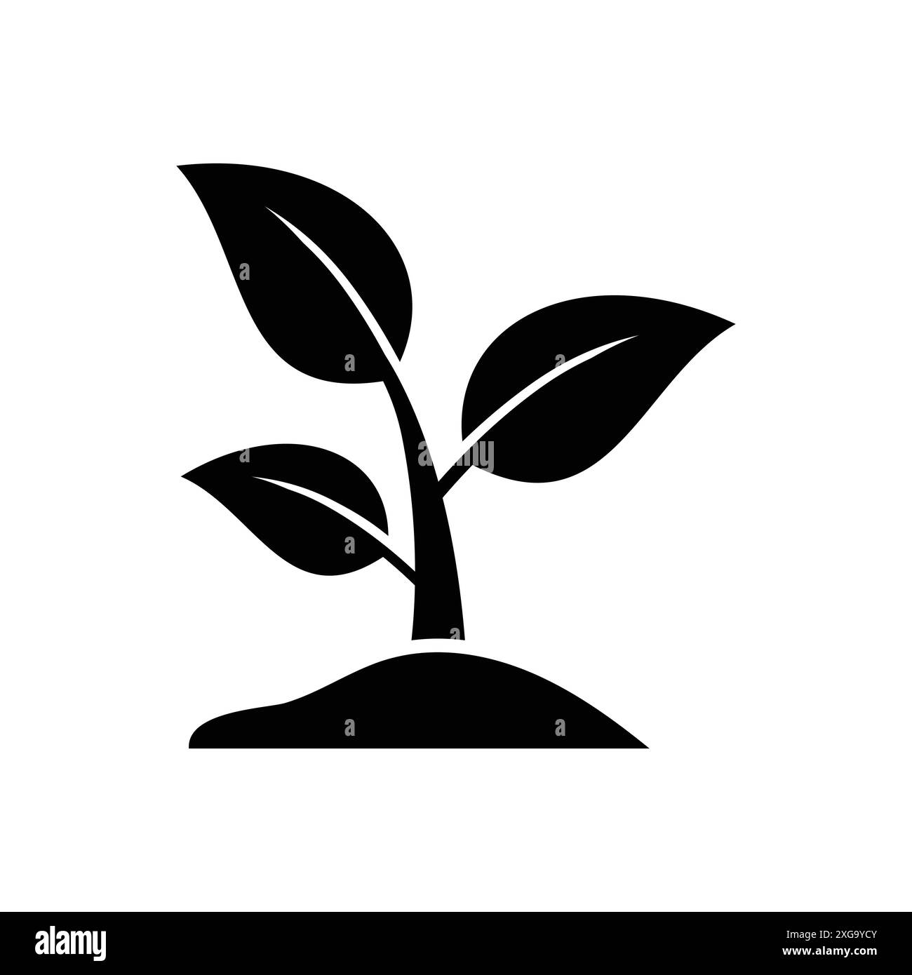 Sprout vector vectors Black and White Stock Photos & Images - Alamy