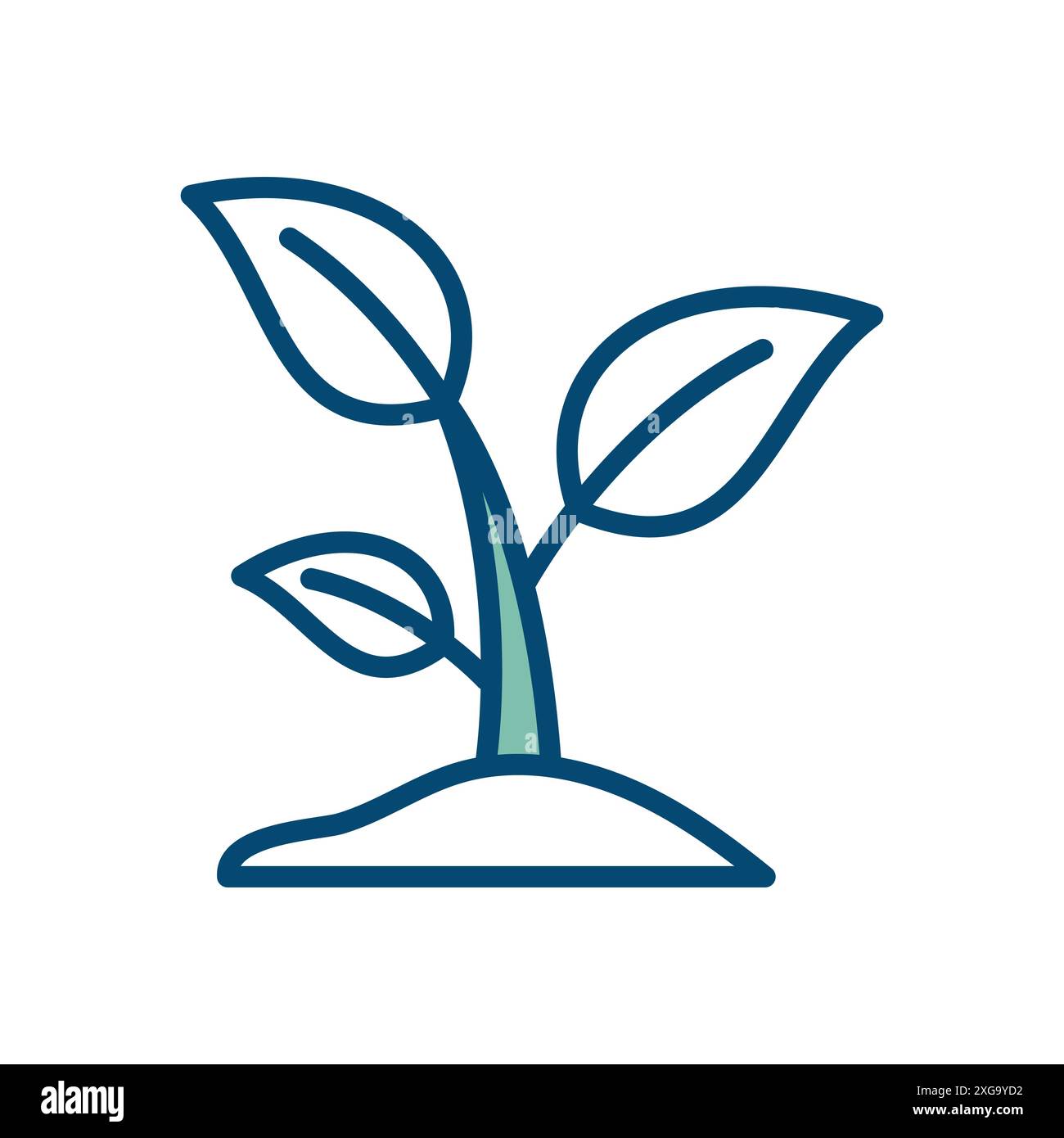 Sprout icon vector vectors hi-res stock photography and images - Alamy