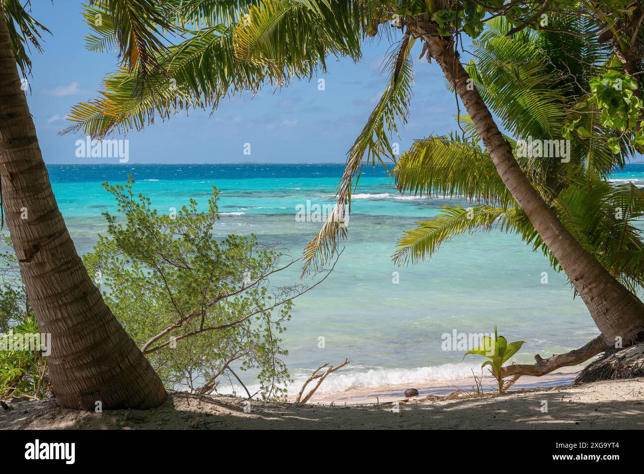 View of the Pacific, Tikehau, atoll, Tuamotu archipelago, Tuherahera ...