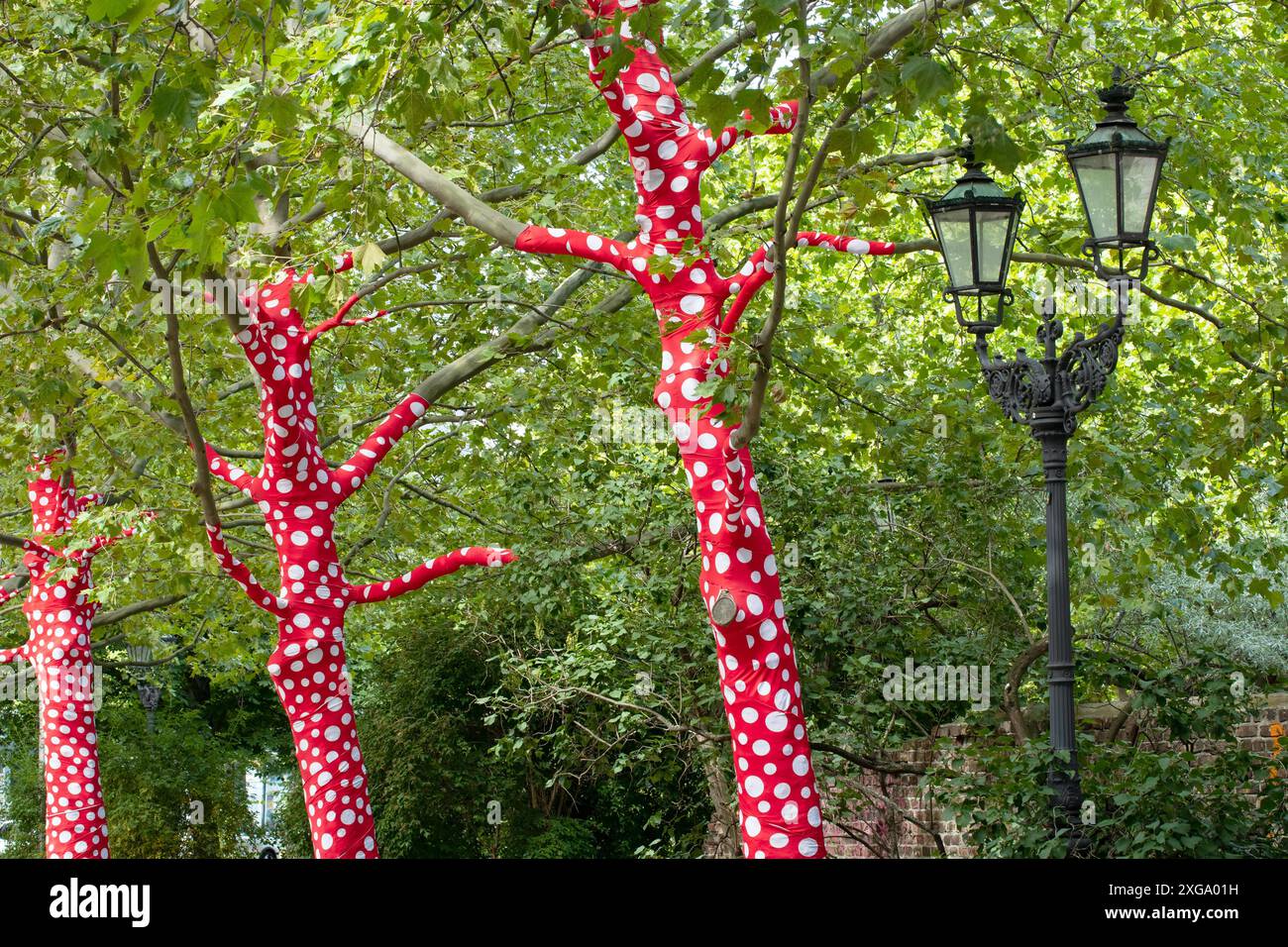 Packaged trees in Berlin, Germany Stock Photo - Alamy