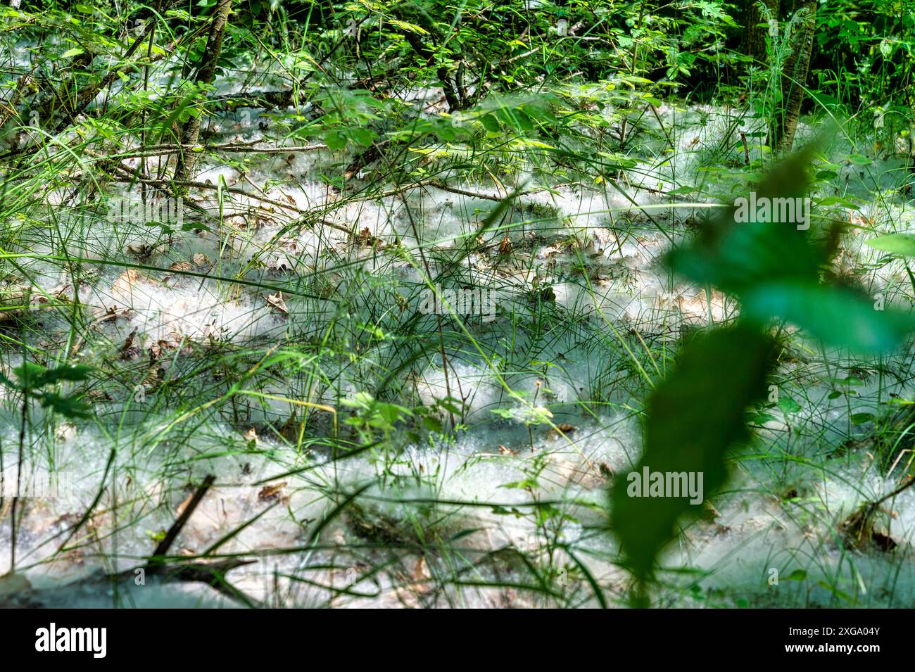 Full soil hi-res stock photography and images - Alamy