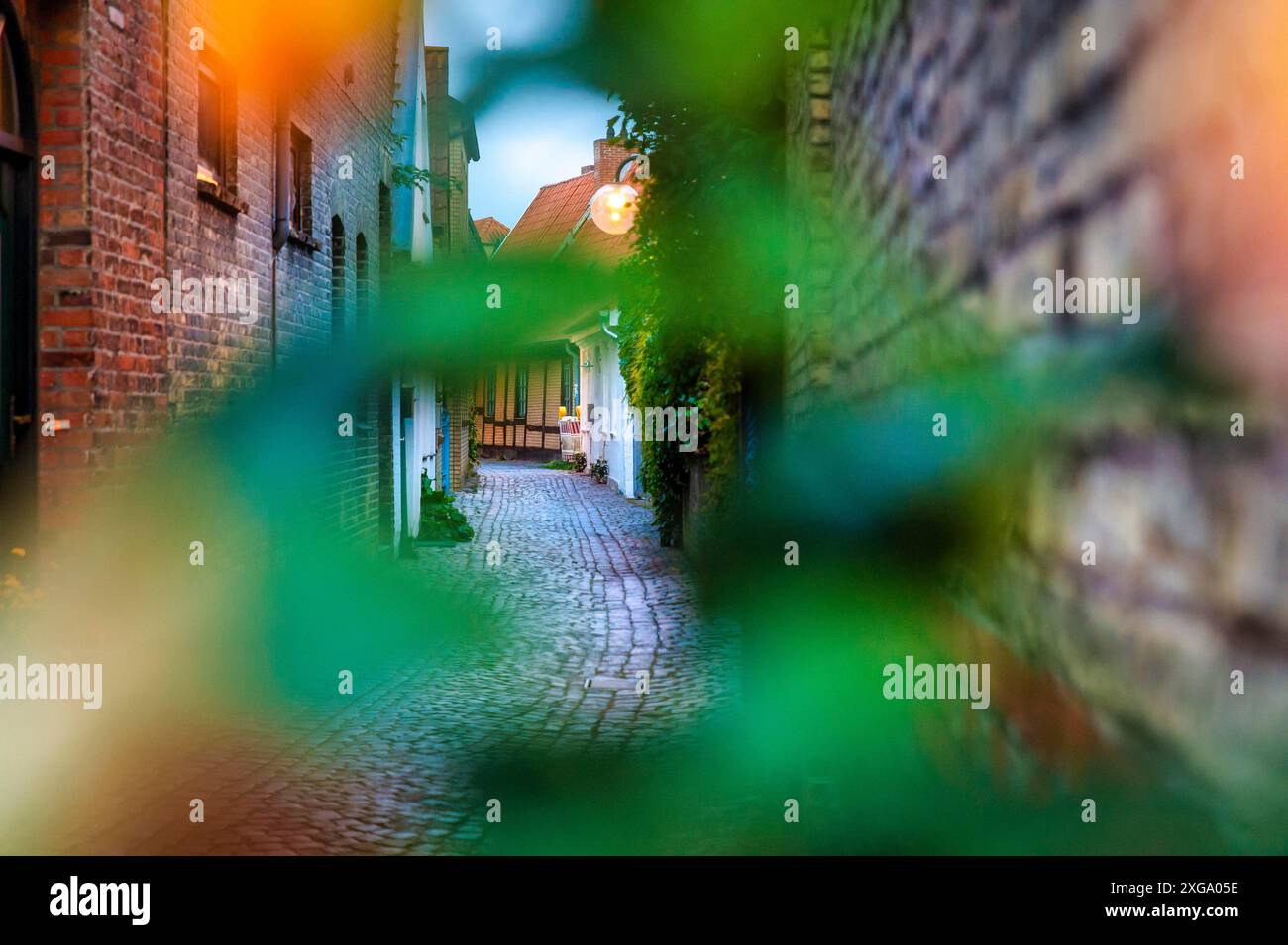 View through a bush into an old alleyway Stock Photo - Alamy
