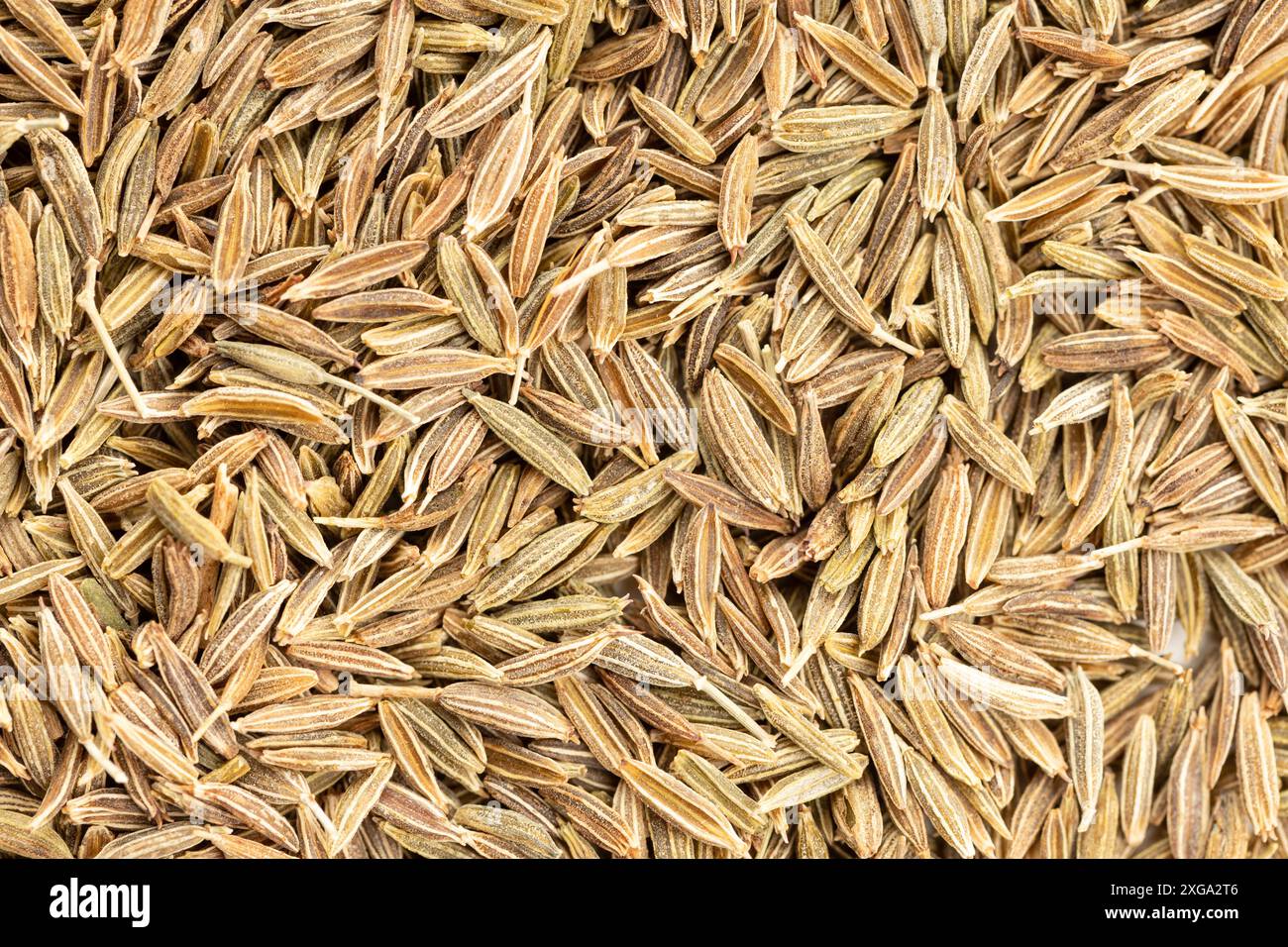 Cultivation texture hi-res stock photography and images - Alamy