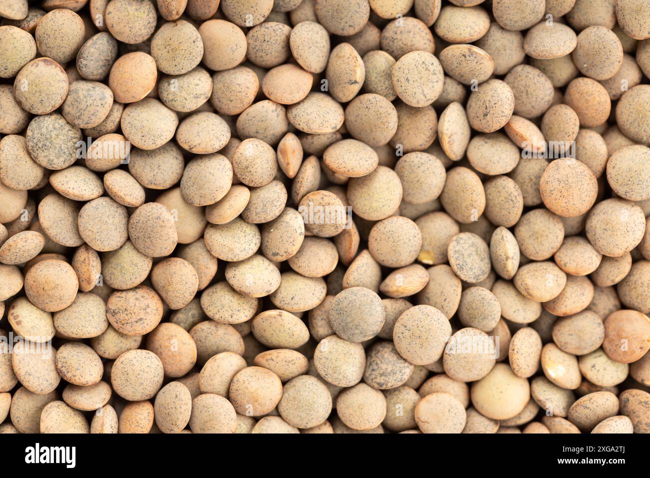 Legume texture hi-res stock photography and images - Alamy