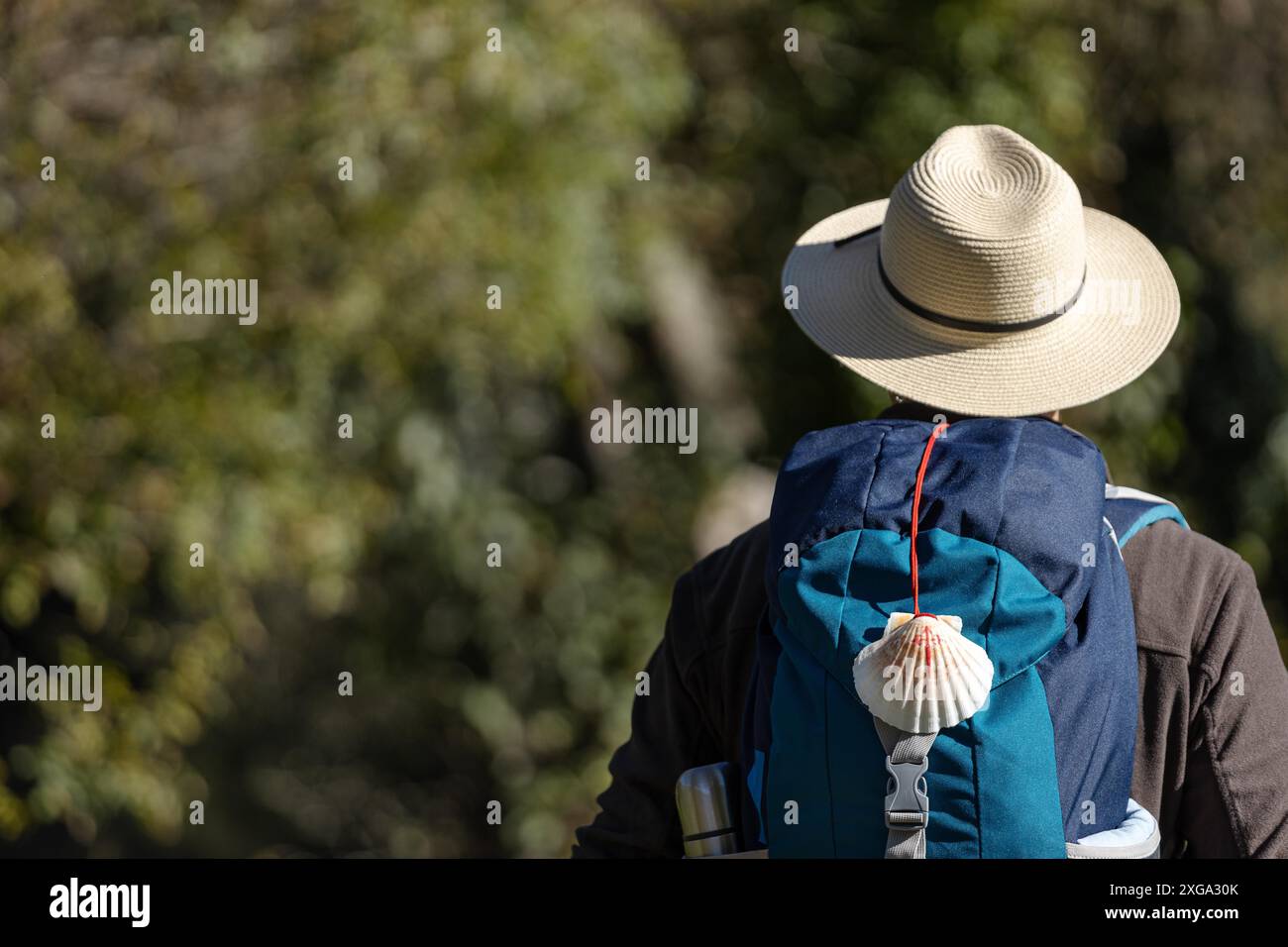 View from behind of a pilgrim carrying a backpack with camino de ...