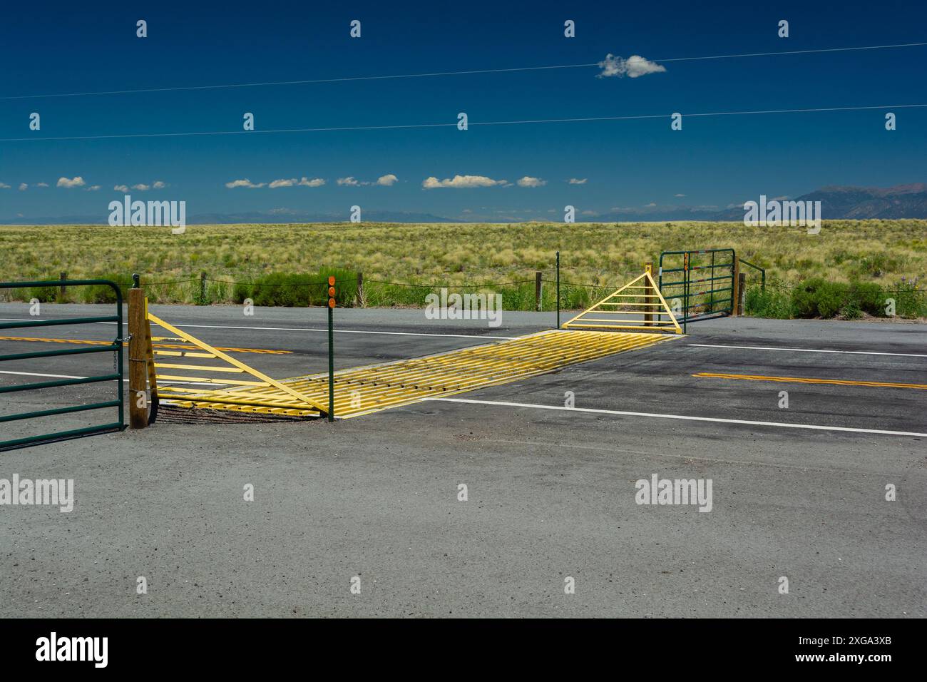 Cattle Grate Grid on a Road on a Sunny Day Stock Photo - Alamy