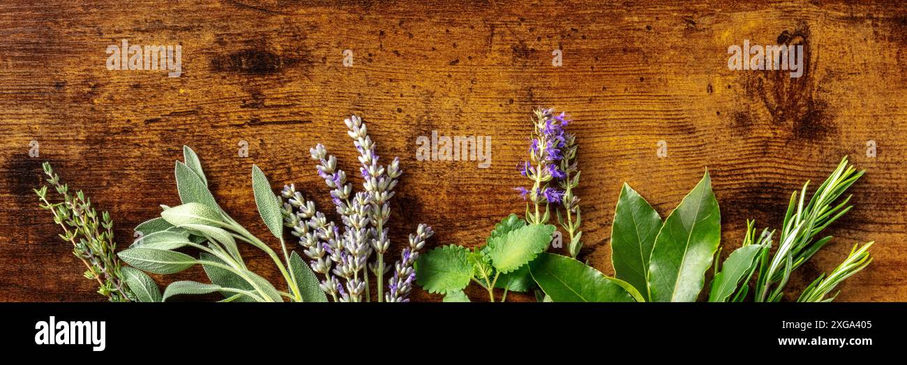 Aromatic herbs panoramic banner with copy space, shot from the top on a ...