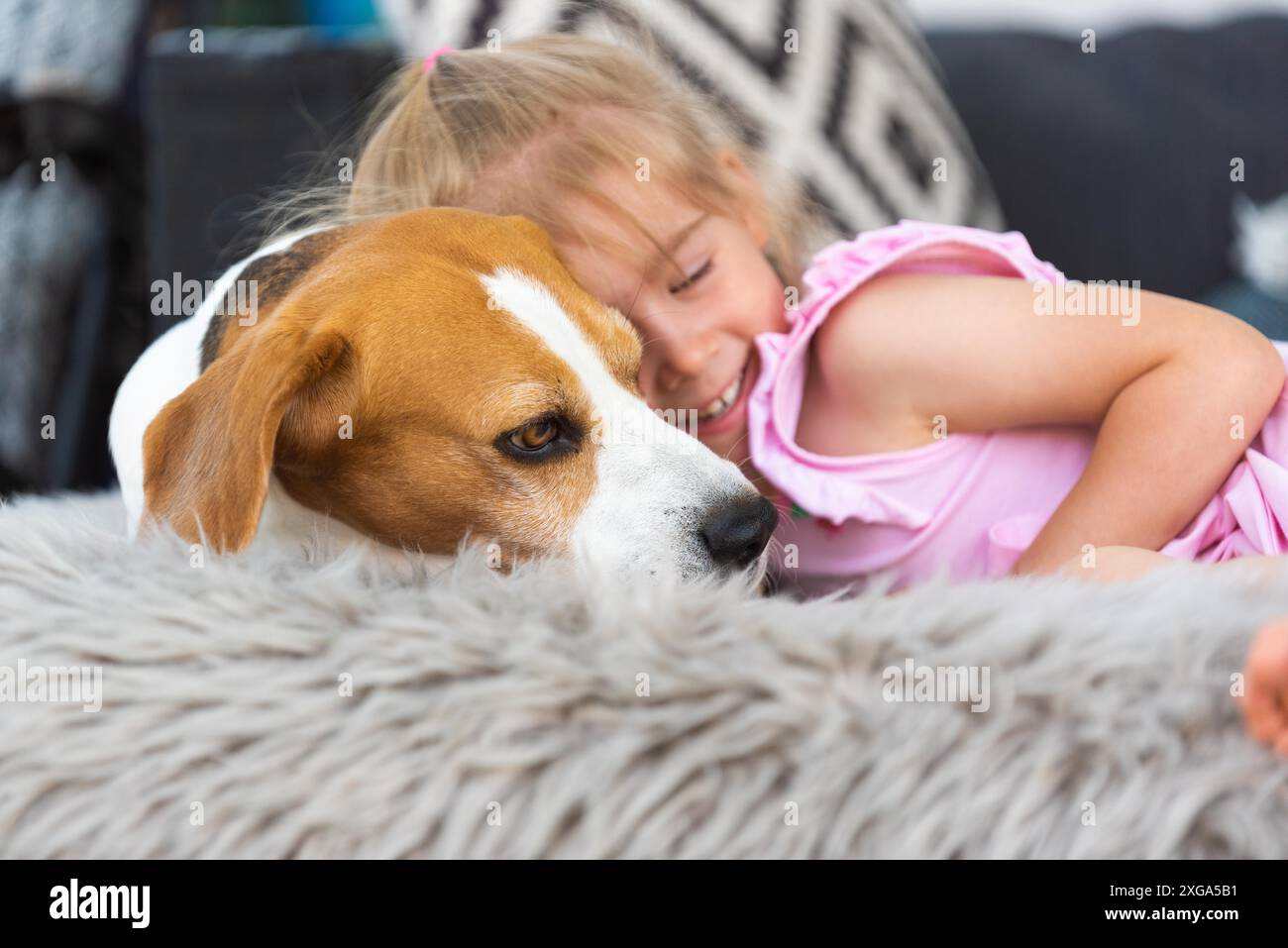 Child cuddle a dog on backyard sofa. Happy childhood with beagle pet ...